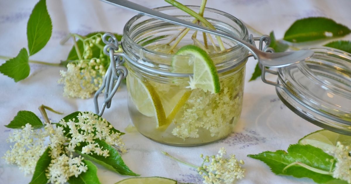 Recept vlierbloesem siroop - Kruidenwonder