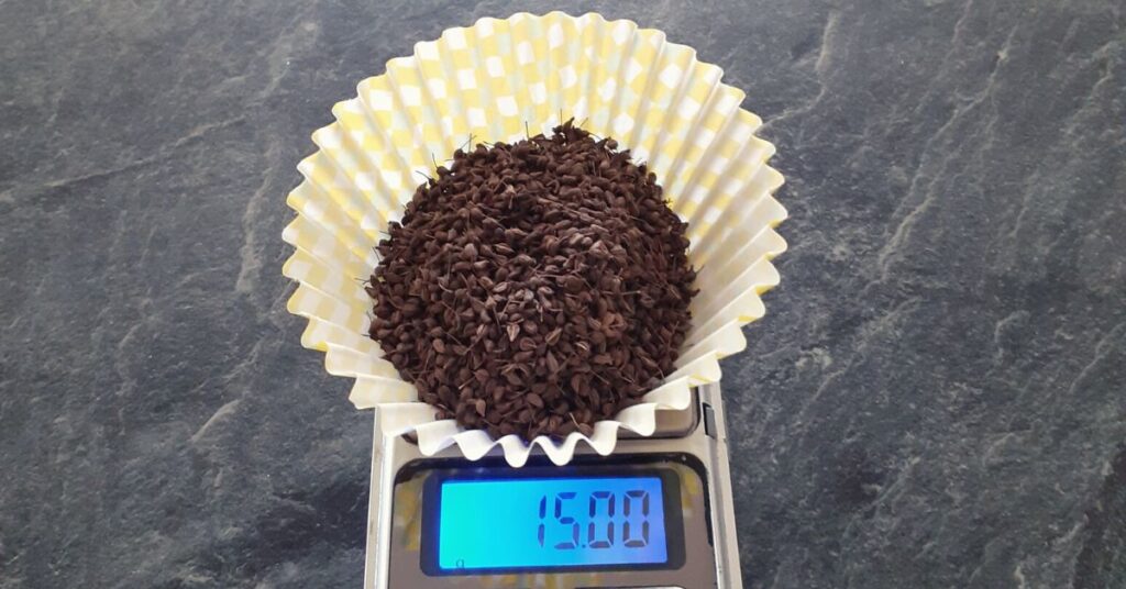 Anijs siroop - Kruidenwonder