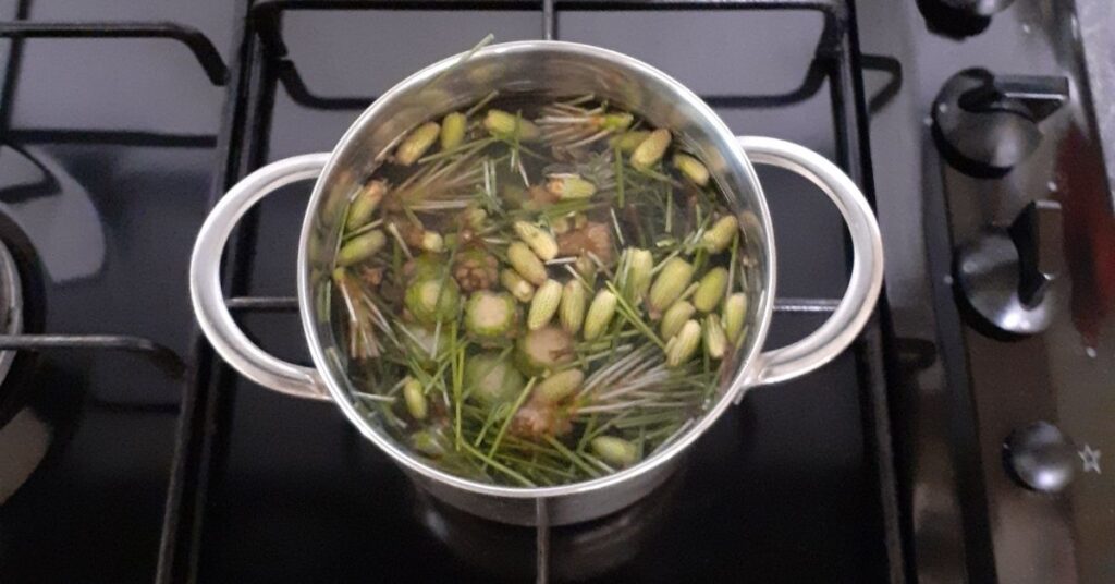 Dennensiroop - Kruidenwonder